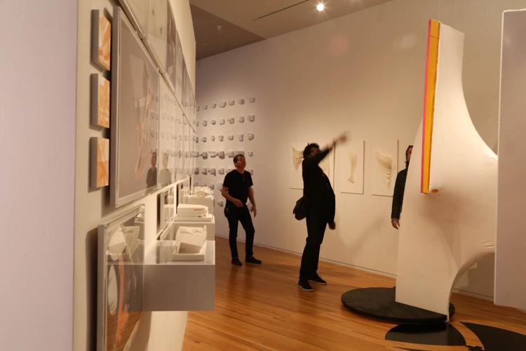 DAAP Gallery’s “Eco-Diversity” bridges technology, design, architecture ...