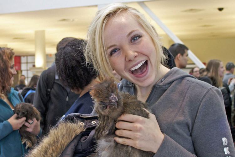 Zoo animals captivate, charm students | College Life | newsrecord.org