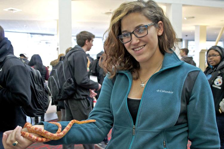 Zoo animals captivate, charm students | College Life | newsrecord.org