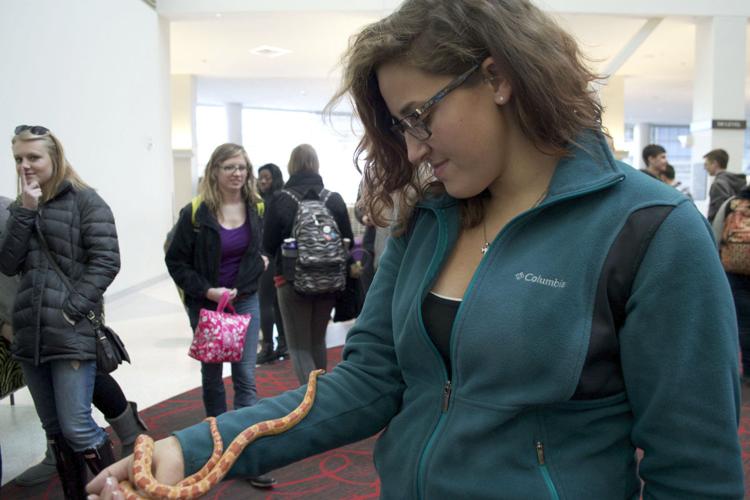 Zoo animals captivate, charm students | College Life | newsrecord.org