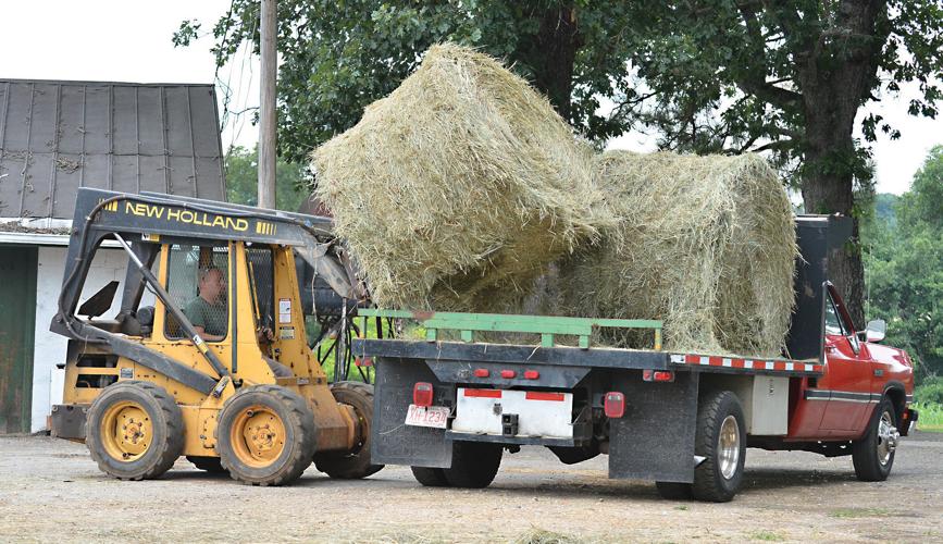 A 'farmed' childhood in Sawmills | Local News | newstopicnews.com