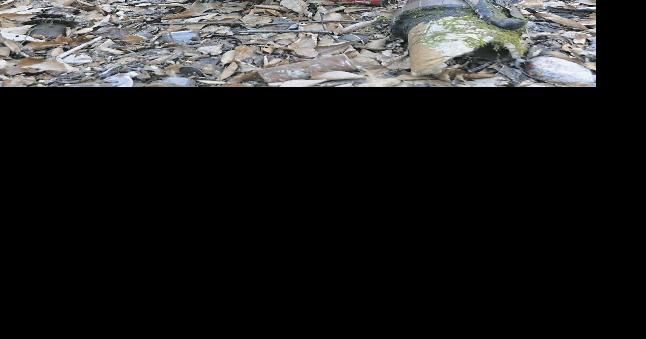 Dream of retirement paradise trashed | Local News | newstopicnews.com