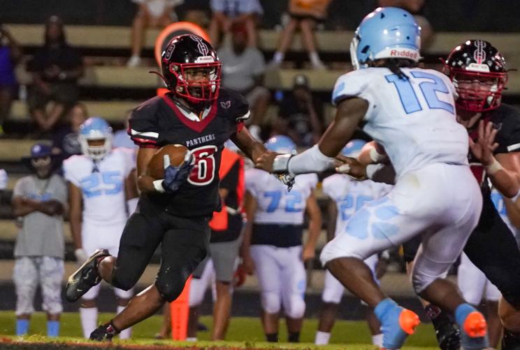 Hibriten wins battle of cats and dogs | Sports | newstopicnews.com