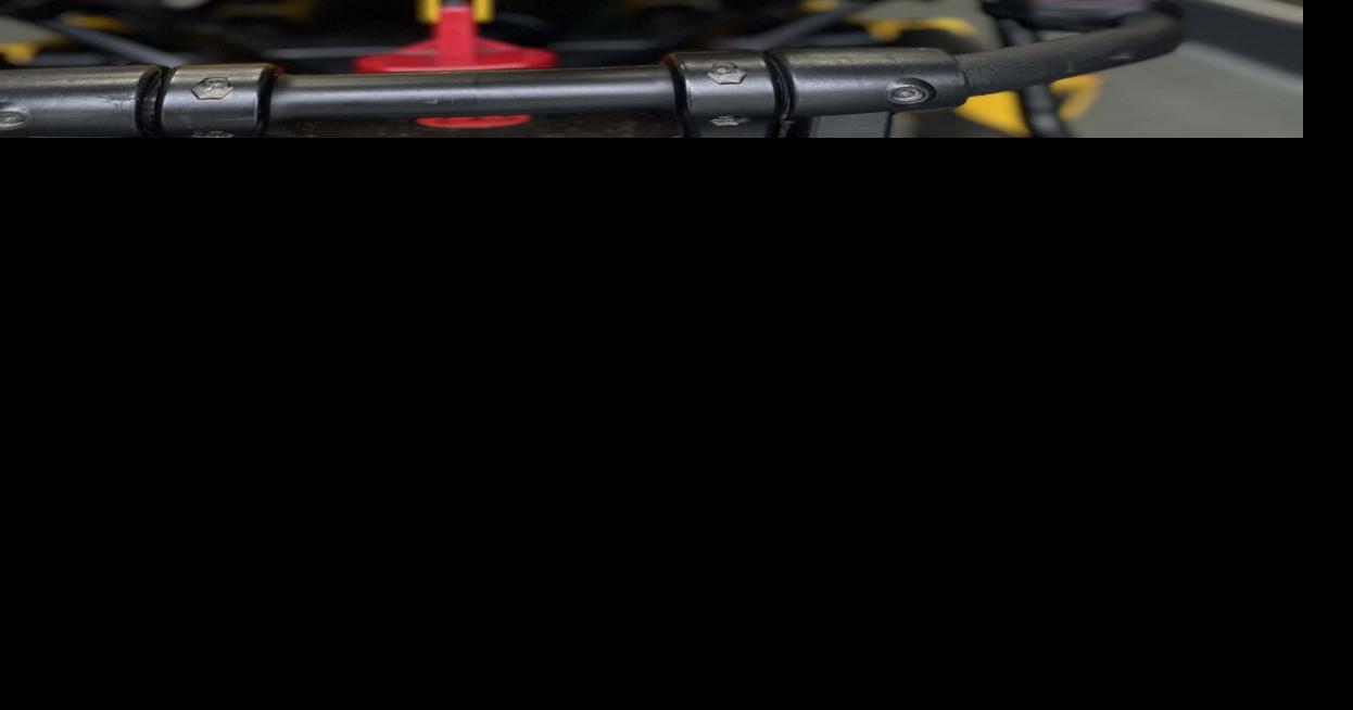 Paramedic program adds therapy dog | News | newstopicnews.com