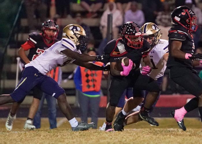 Panthers take down Cougars | Sports | newstopicnews.com