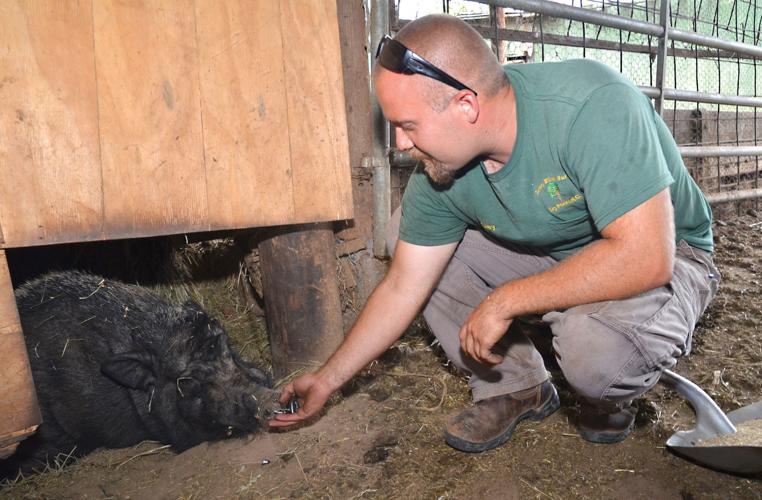A 'farmed' childhood in Sawmills | Local News | newstopicnews.com