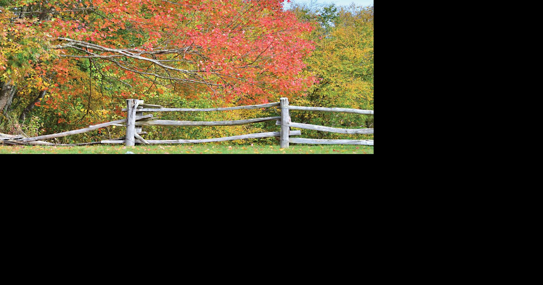 Fall color coming to northwest N.C. | Local News | newstopicnews.com