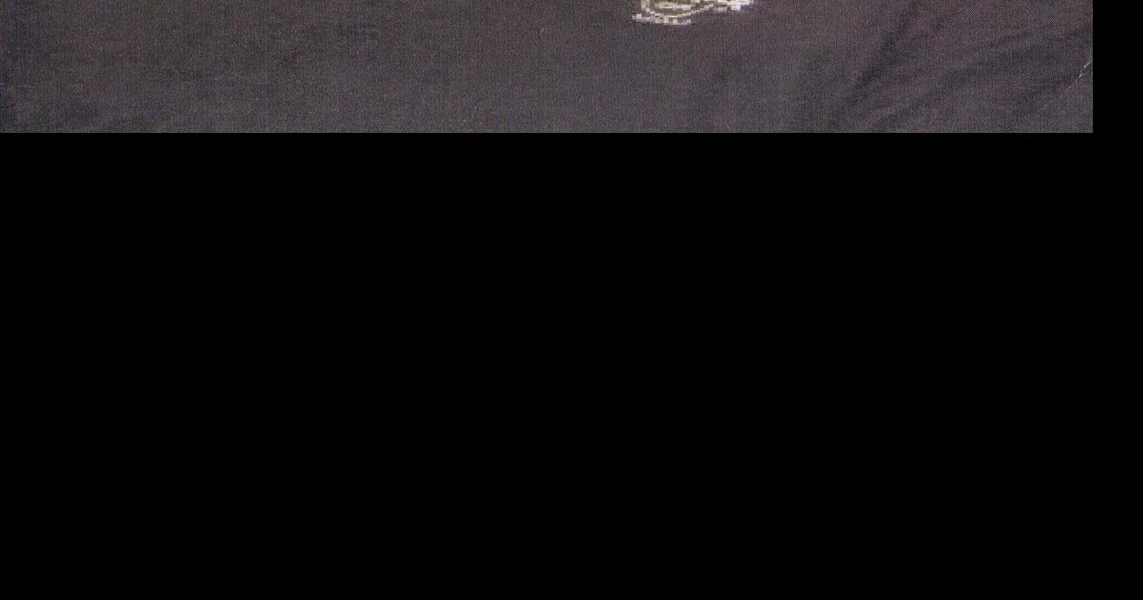 Randy Simmons | Archives | newstopicnews.com