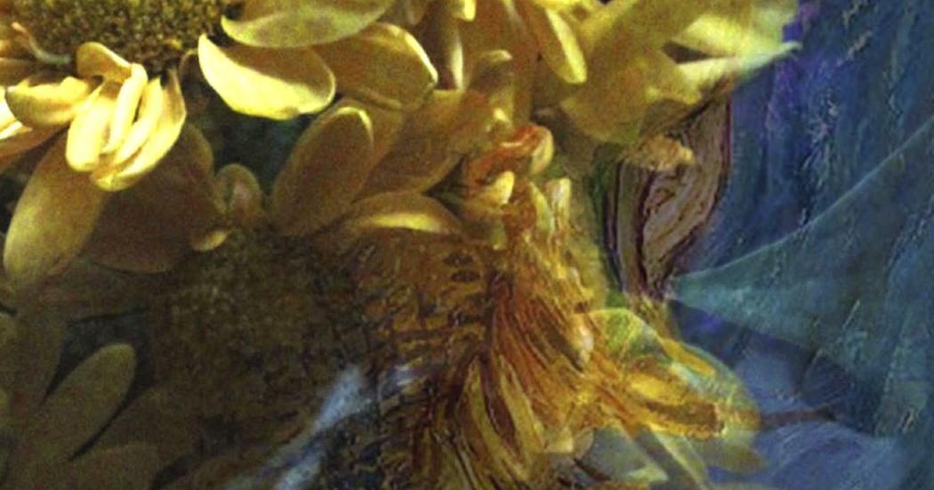 CCC&TI announces reception, reading for 2025 edition of 'Branches ...