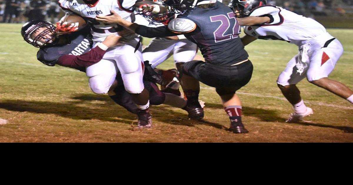 Panthers win county championship | Sports | newstopicnews.com