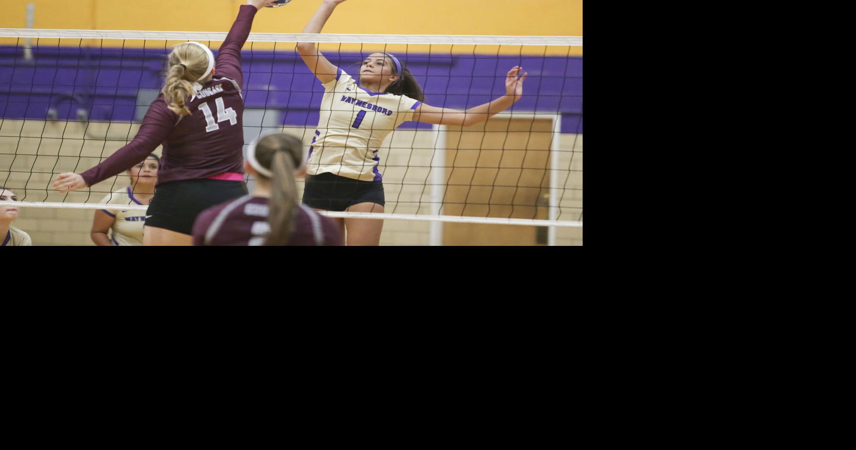 PREP VOLLEYBALL: A new-look Draft team sweeps Waynesboro
