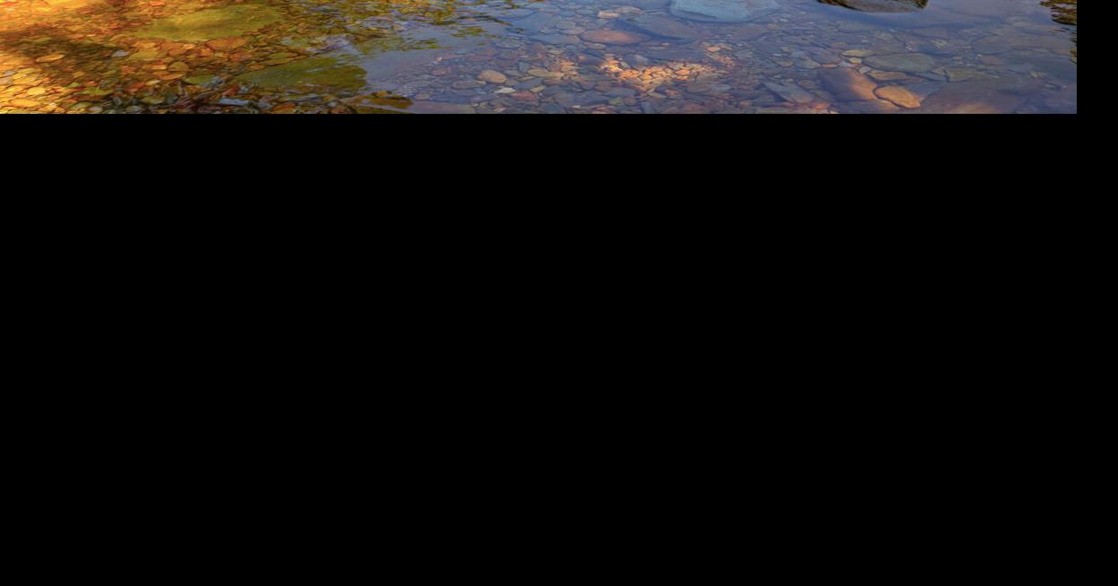 PHOTOS: Moormans River Hike