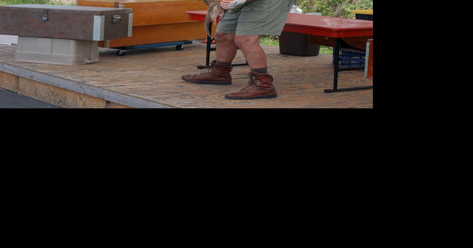 Reptile show part of Riverfest day of fun