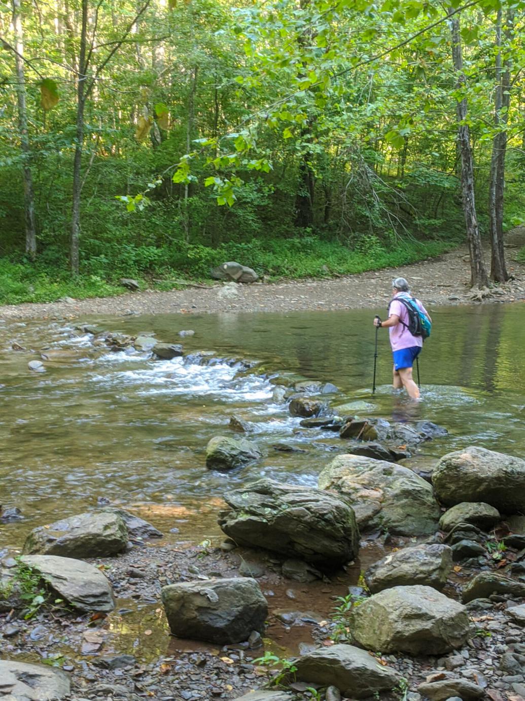 PHOTOS: Moormans River Hike
