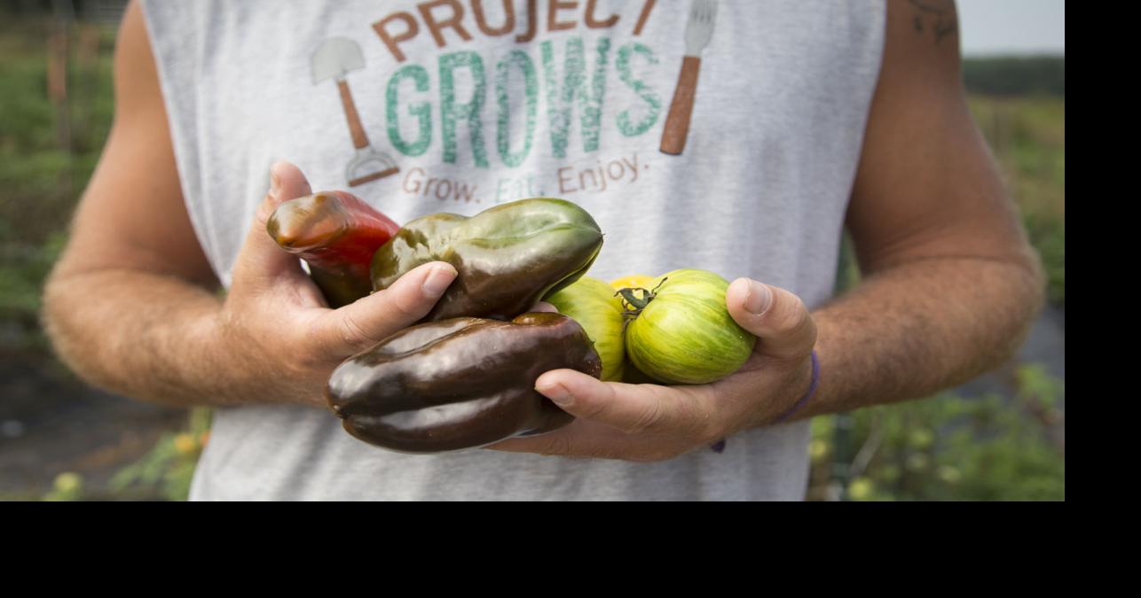 Building a dream: Project Grows founder pursues his own farm