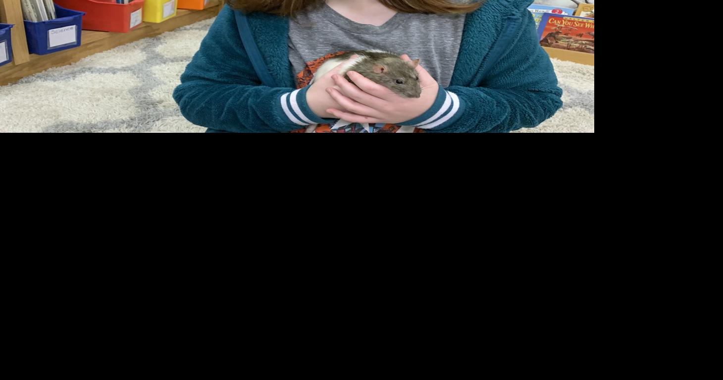 Classroom pets also sent home early because of pandemic