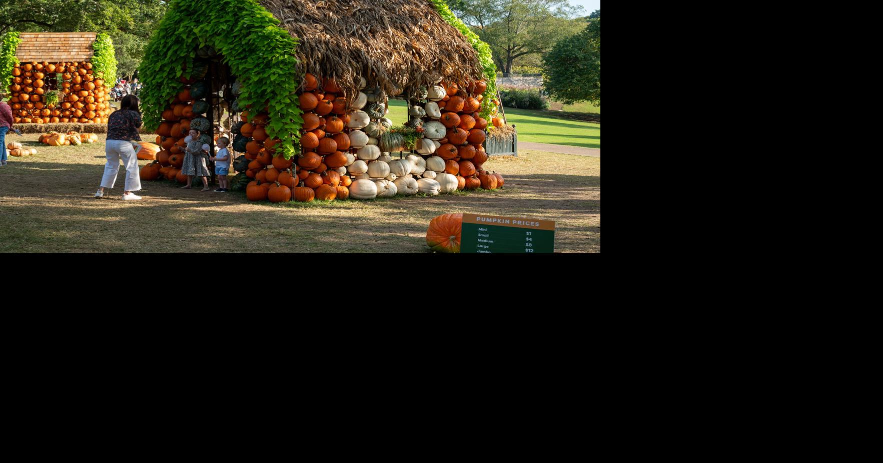 Families Gather for the Annual Fall for Cheekwood | Events ...