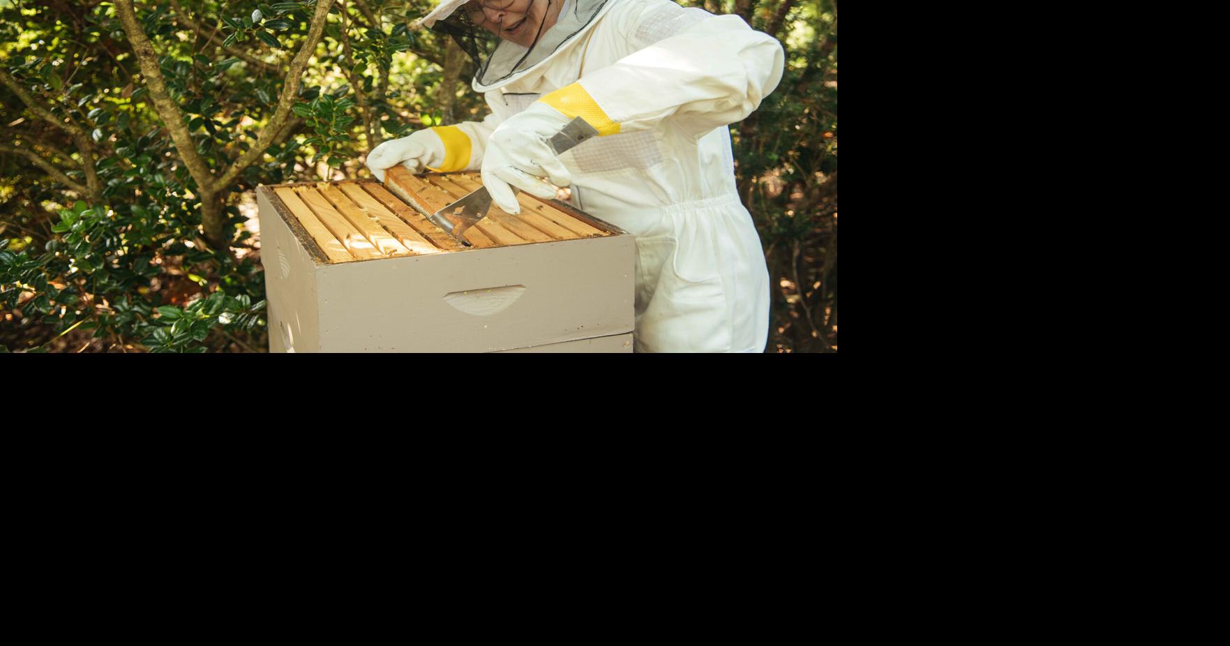 Queen Bees: Lisa Manning | People + Places | nfocusmagazine.com