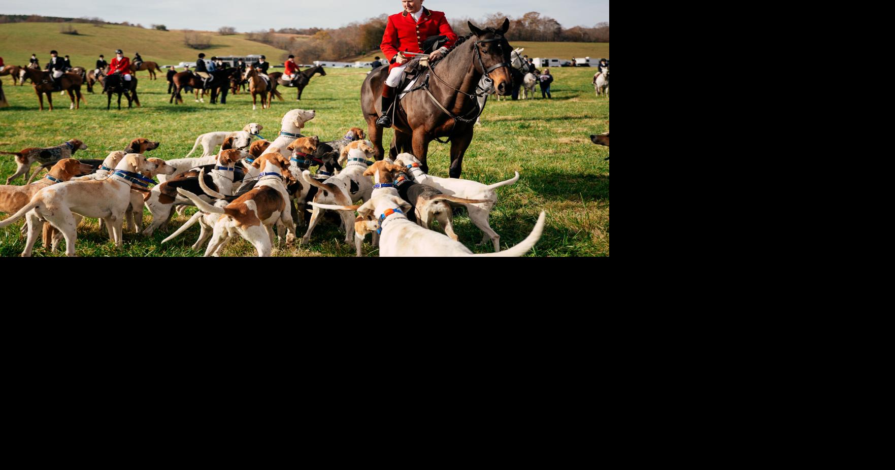 Slideshow: The Mells Foxhounds Blessing of the Hounds | Events ...