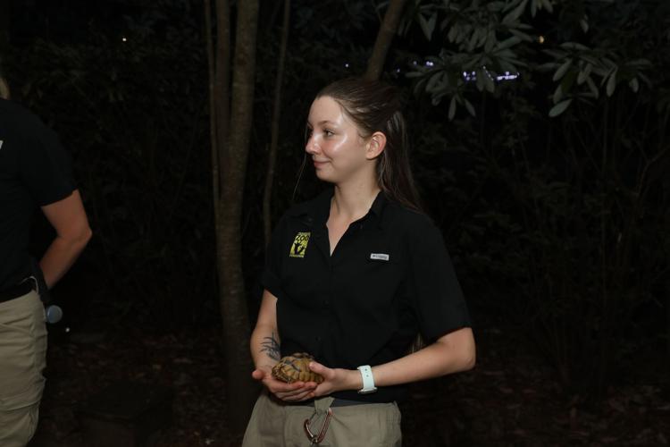 On the Circuit: Brew at the Zoo | Events | nfocusmagazine.com