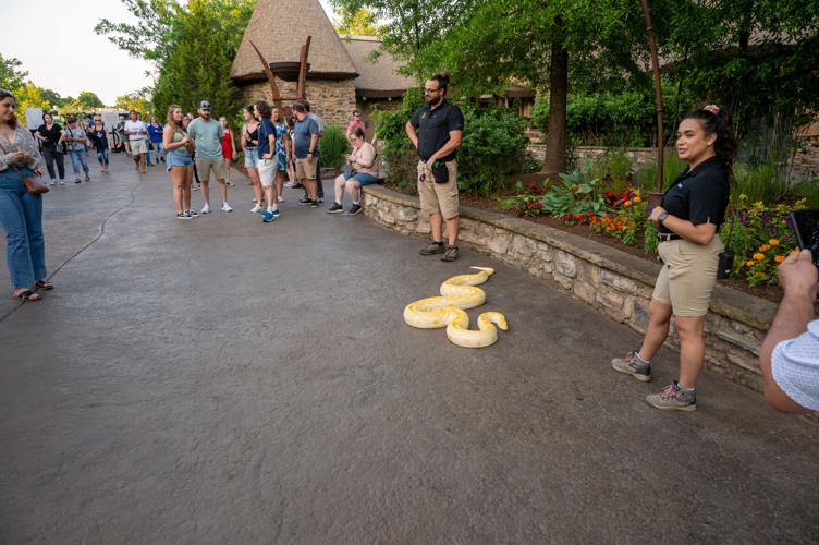 On the Circuit: Brew at the Zoo | Events | nfocusmagazine.com