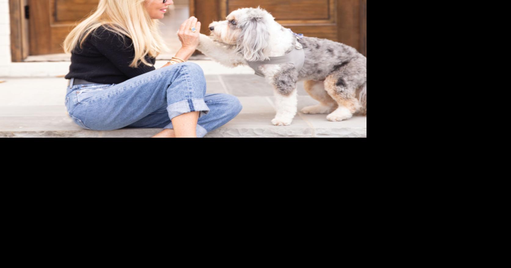 INSIDER’S GUIDE TO REALTORS: Beth Molteni | Promotions | nfocusmagazine.com