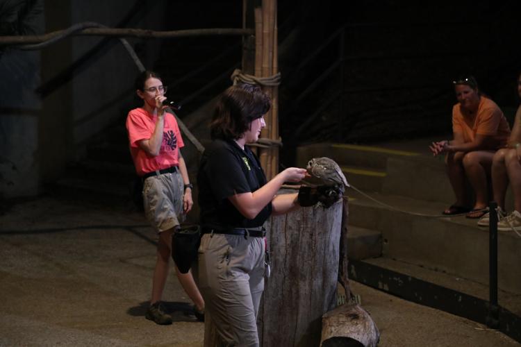 On the Circuit: Brew at the Zoo | Events | nfocusmagazine.com