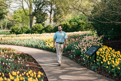 Force of Nature: A Chat With Cheekwood's Peter Grimaldi | Arts ...