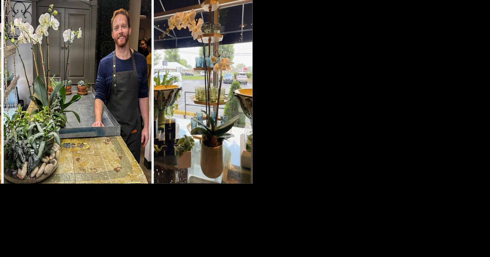 The Orchid Chief: Aaron Kilpatrick at The Tulip Tree | Homes ...