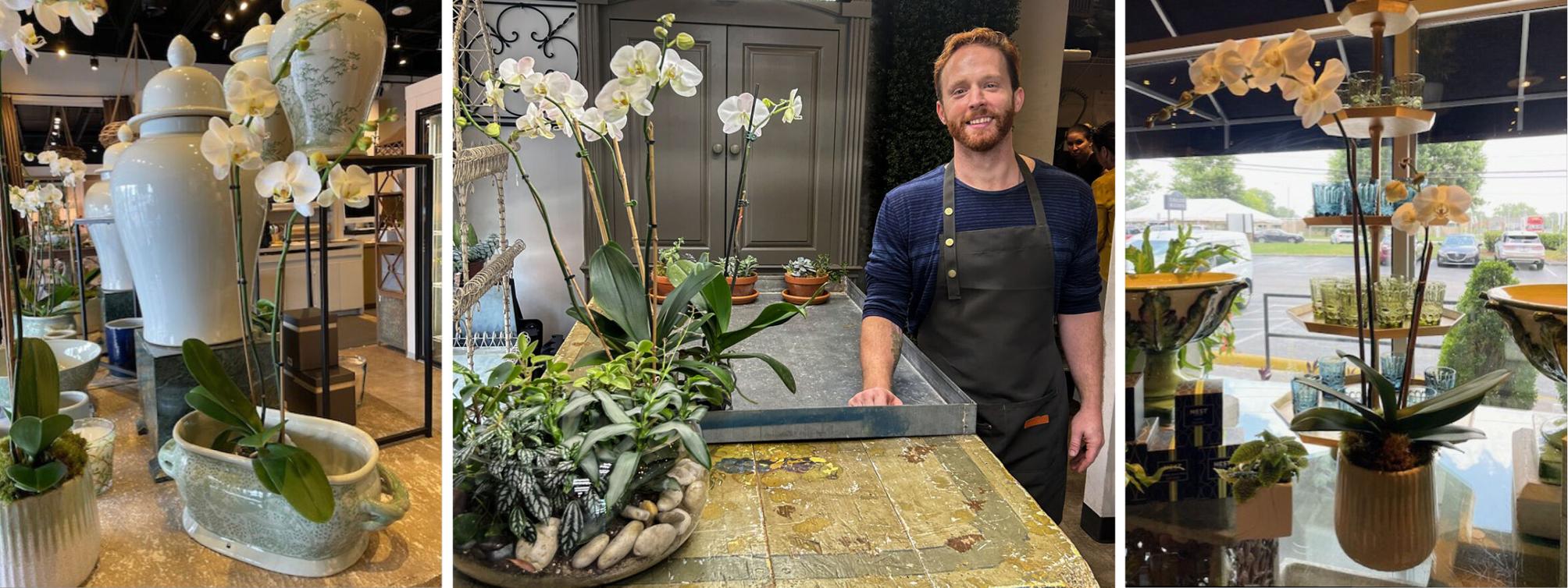 The Orchid Chief: Aaron Kilpatrick at The Tulip Tree | Homes ...