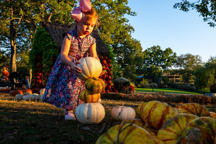 Cheekwood Brings Fall for Cheekwood Back to Full Capacity | Events ...