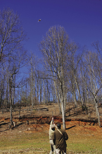 Luxury Adventure Trips: Primland's European-Style Pheasant Hunt ...