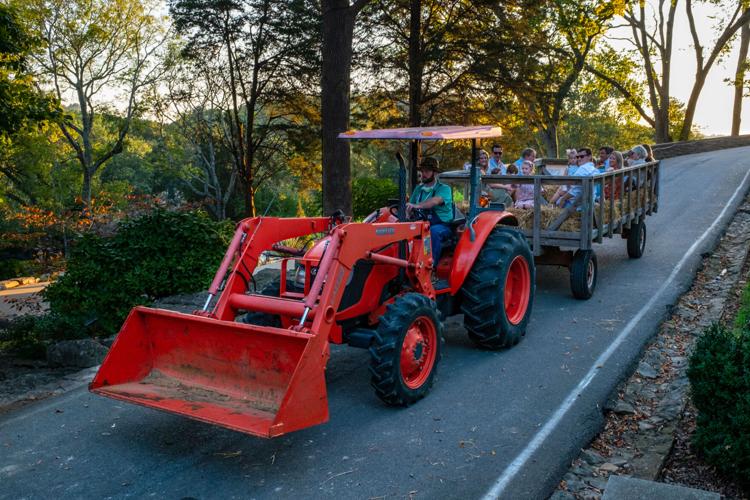 Cheekwood Brings Fall for Cheekwood Back to Full Capacity | Events ...