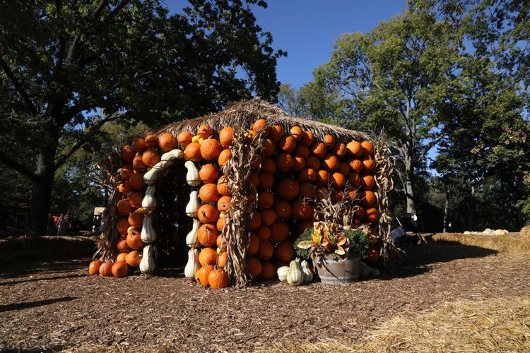 Fall For Cheekwood Returns With Record Numbers | Events ...