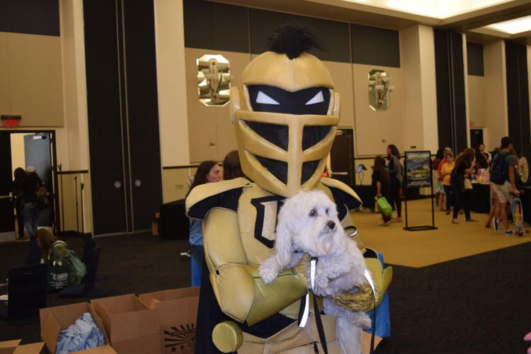Photos: Healthy Knights Expo offers wellness tips | Multimedia | The Charge