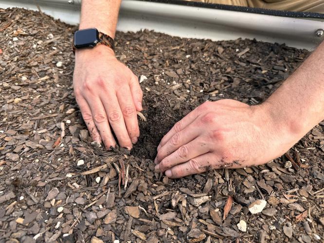 UCF adds eco-friendly degree programs to meet market demands | News ...