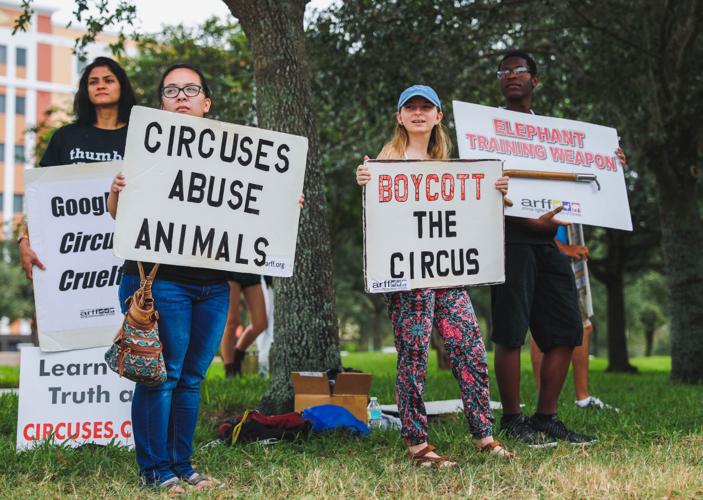 Photos: Animal welfare protest transpires days after resolution passes ...