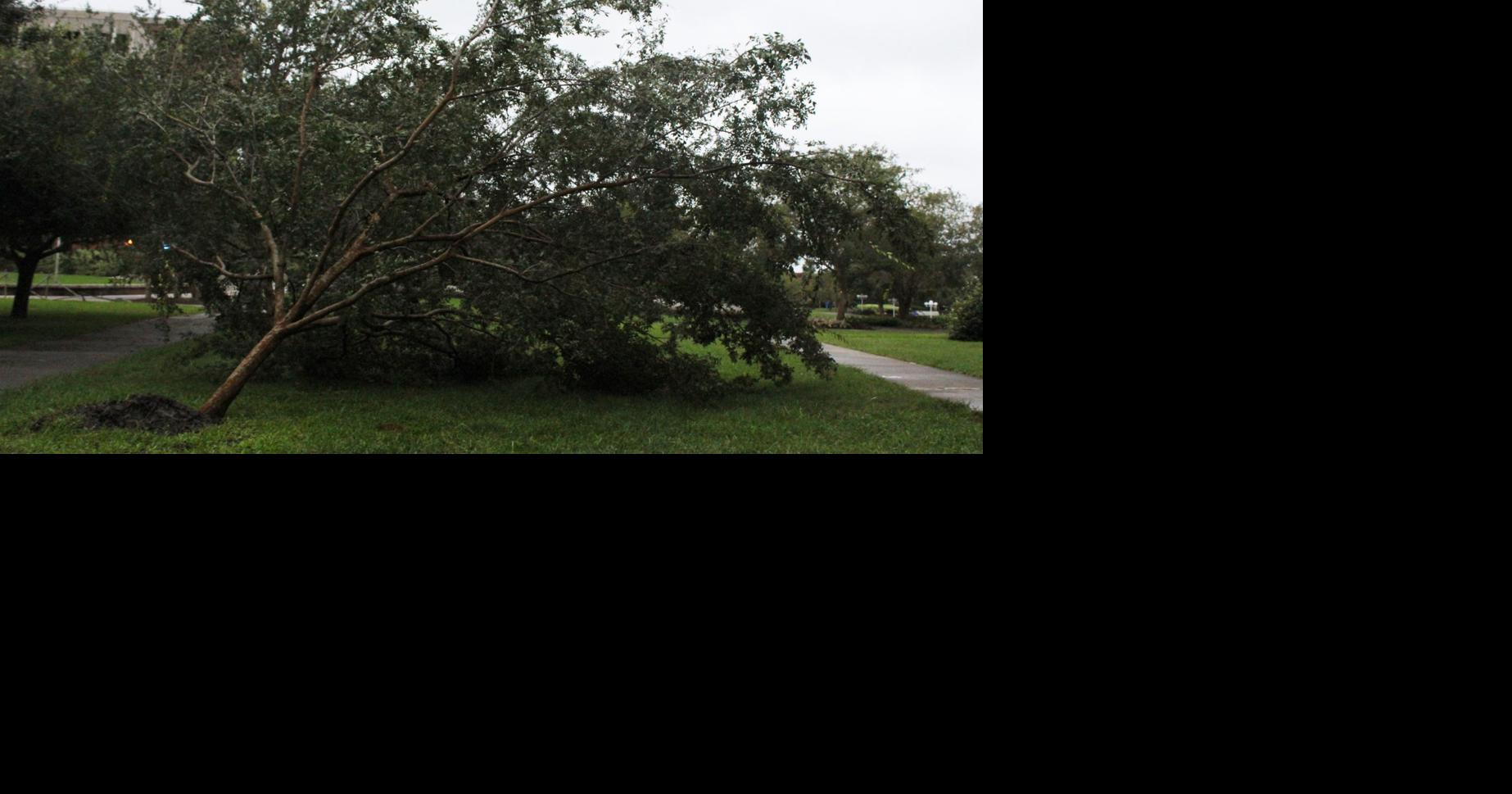 Photos: Minor damage at UCF following Hurricane Matthew | Multimedia ...