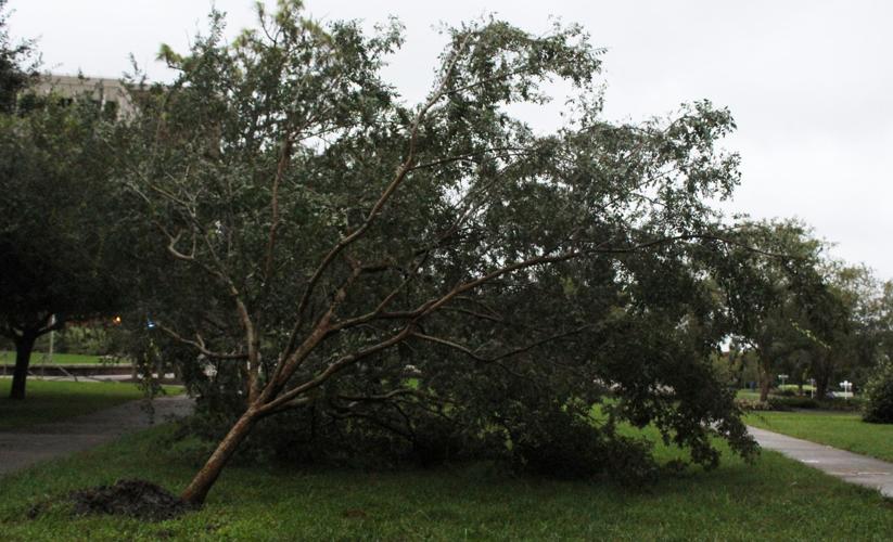 Photos: Minor damage at UCF following Hurricane Matthew | Multimedia ...
