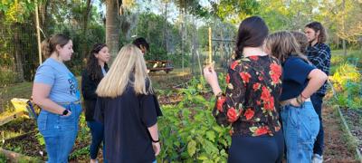 Re:Wild UCF and Defend our Future UCF creates environmental friendly ...