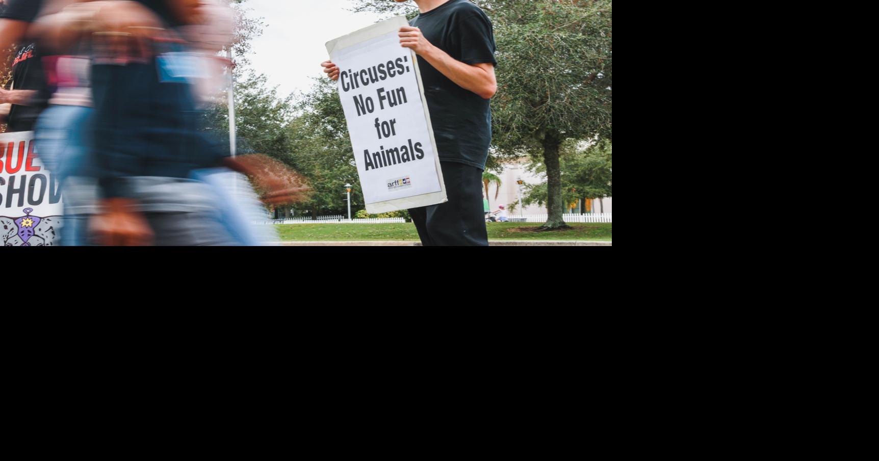 Photos: Animal welfare protest transpires days after resolution passes ...