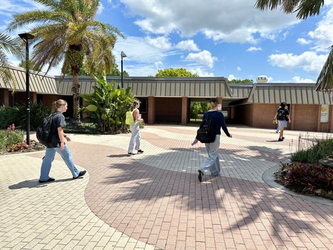 Polluted by pollen: Climate change worsening allergy seasons | Culture ...