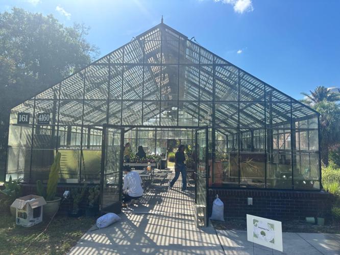 PHOTOS: UCF celebrates Arbor Day with planting, painting and ...