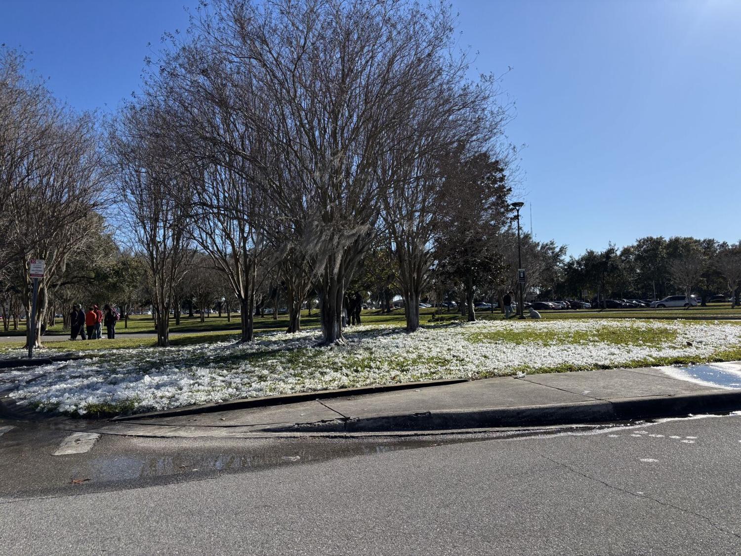 Weather conditions cancel first Universal Knights ticket distribution ...