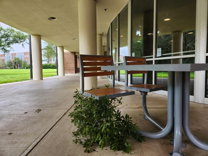 PHOTOS: Hurricane Milton’s impact on UCF campus | Multimedia | The Charge