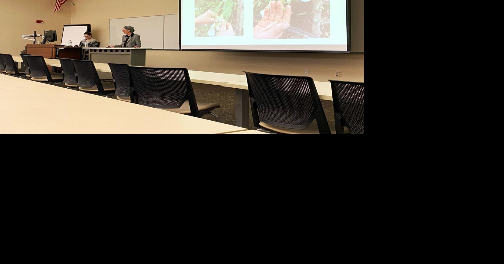 The hallucinogenic plant Angel's Trumpet: Is it as angelic as its name ...