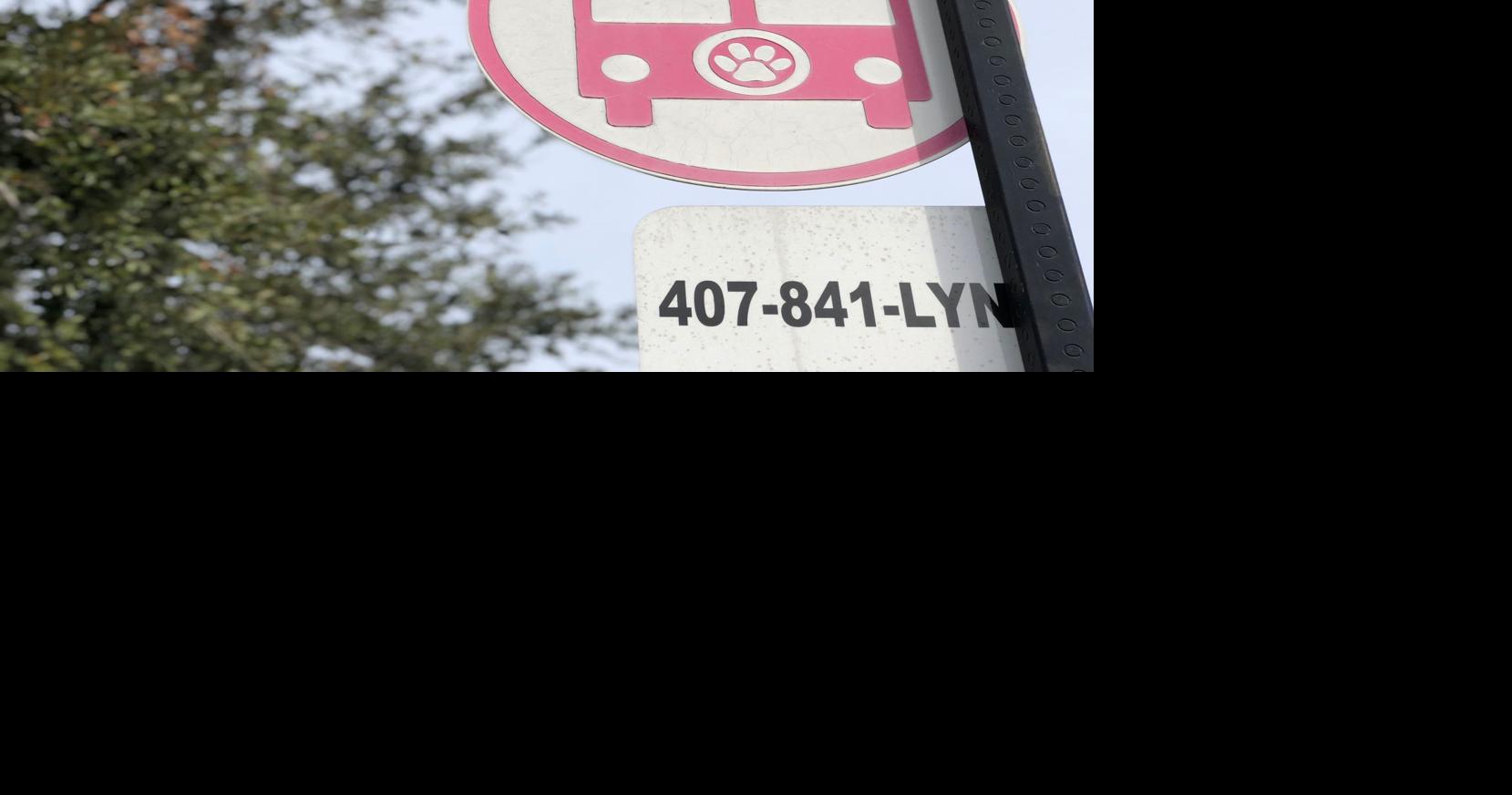 Orlando LYNX is now free for all UCF students, faculty and staff | News ...