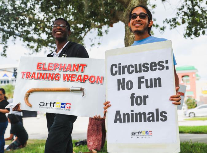 Photos: Animal welfare protest transpires days after resolution passes ...
