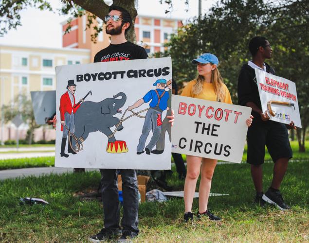 Photos: Animal welfare protest transpires days after resolution passes ...