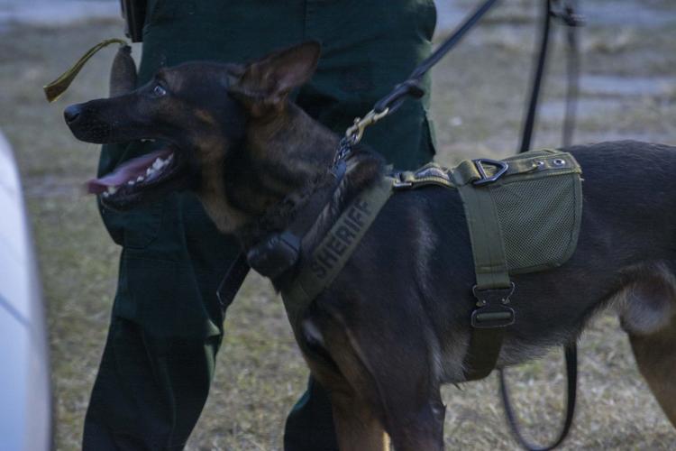 Photos: Orange County K-9 units train police dogs with narcotics | Life ...